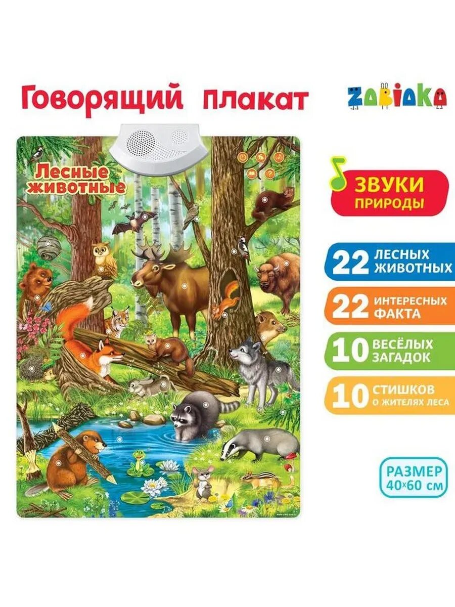 Интерактивная игрушка плакат «Лесные животные»
