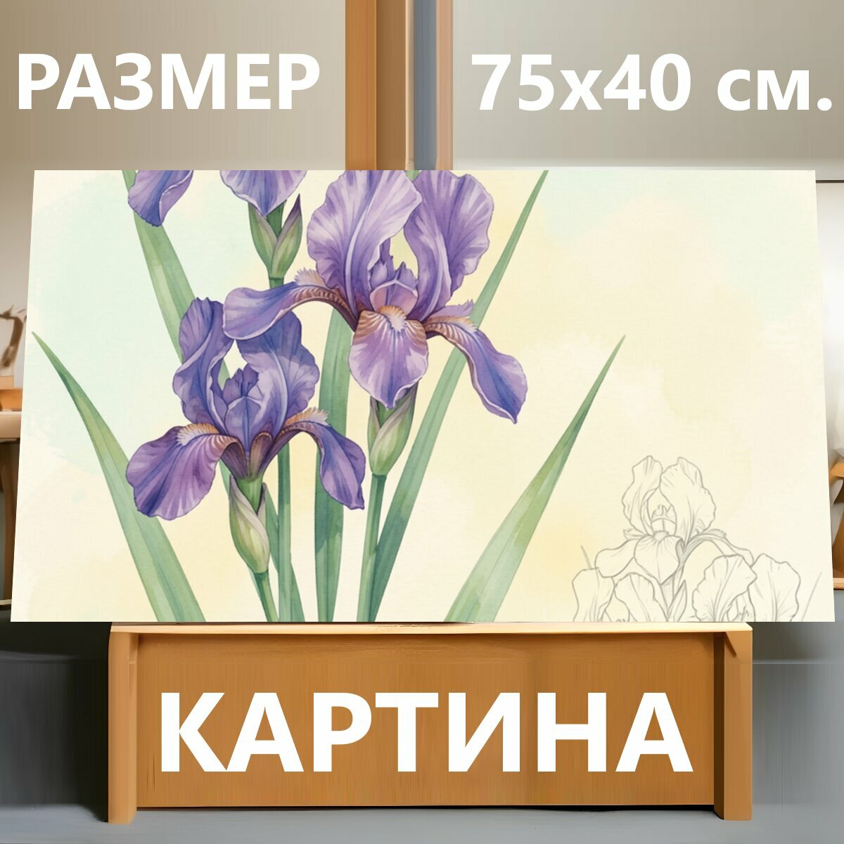 Картина на холсте "Лиловые ирисы на светлом фоне. Нежная ботаническая акварель с высокими цветками в сиренево-фиолетовой гамме, тонкими." на подрамнике 75х40 см. для интерьера