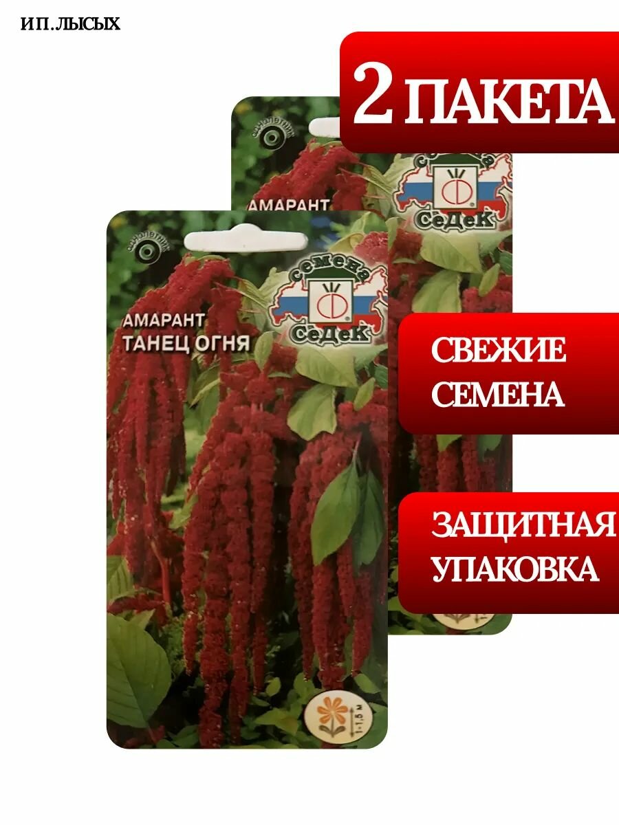 Семена Амарант "Танец Огня"