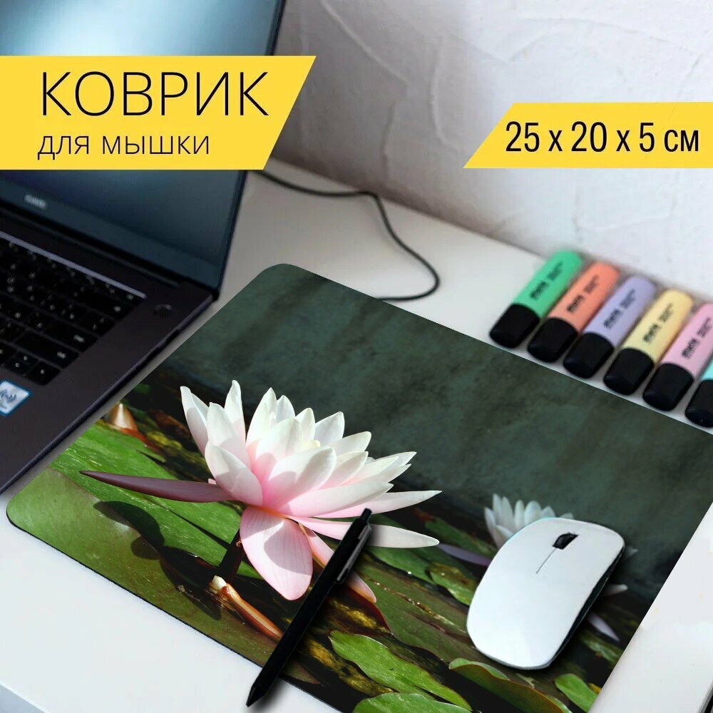 Коврик для мыши с принтом "Лилии, кувшинки, пруд" 25x20см.