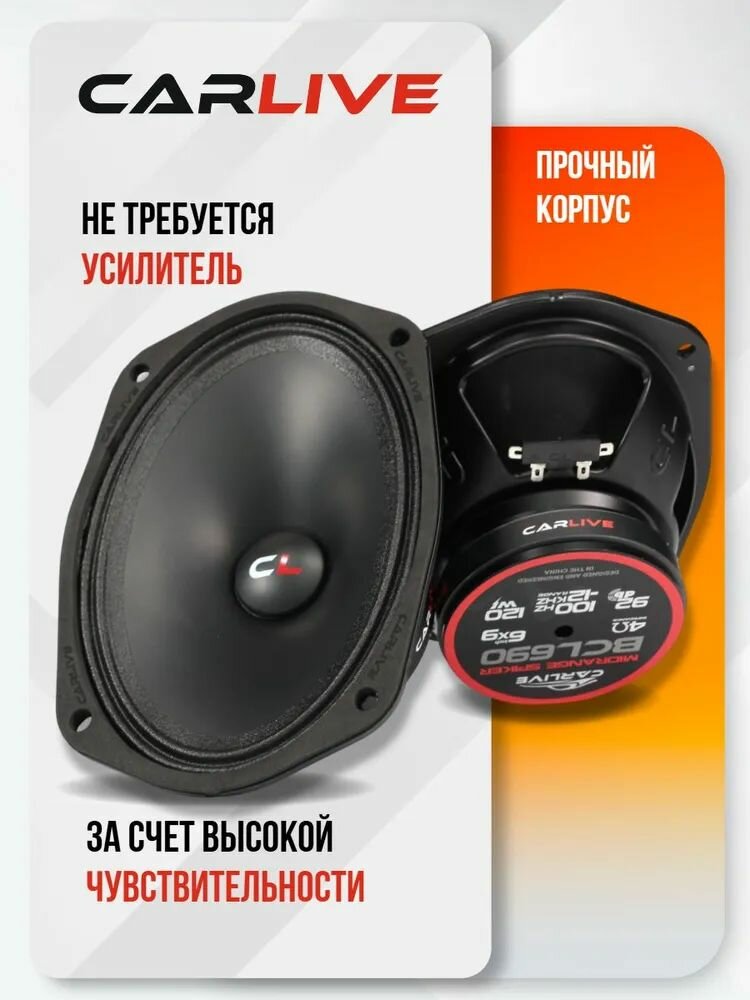 Эстрадная акустика Carlive BCL690 Premium 15x23sm (6x9)" Овальные