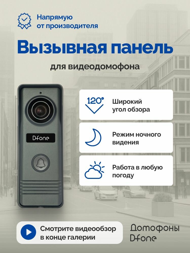 Вызывная панель видеодомофона D-fone Echo 12 для улицы, графит