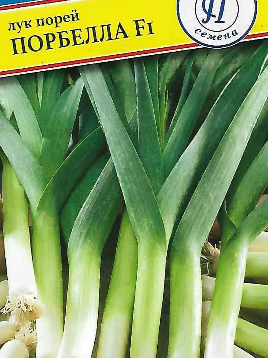 Лук Порей Порбелла F1 0,2 г, Семена Престиж