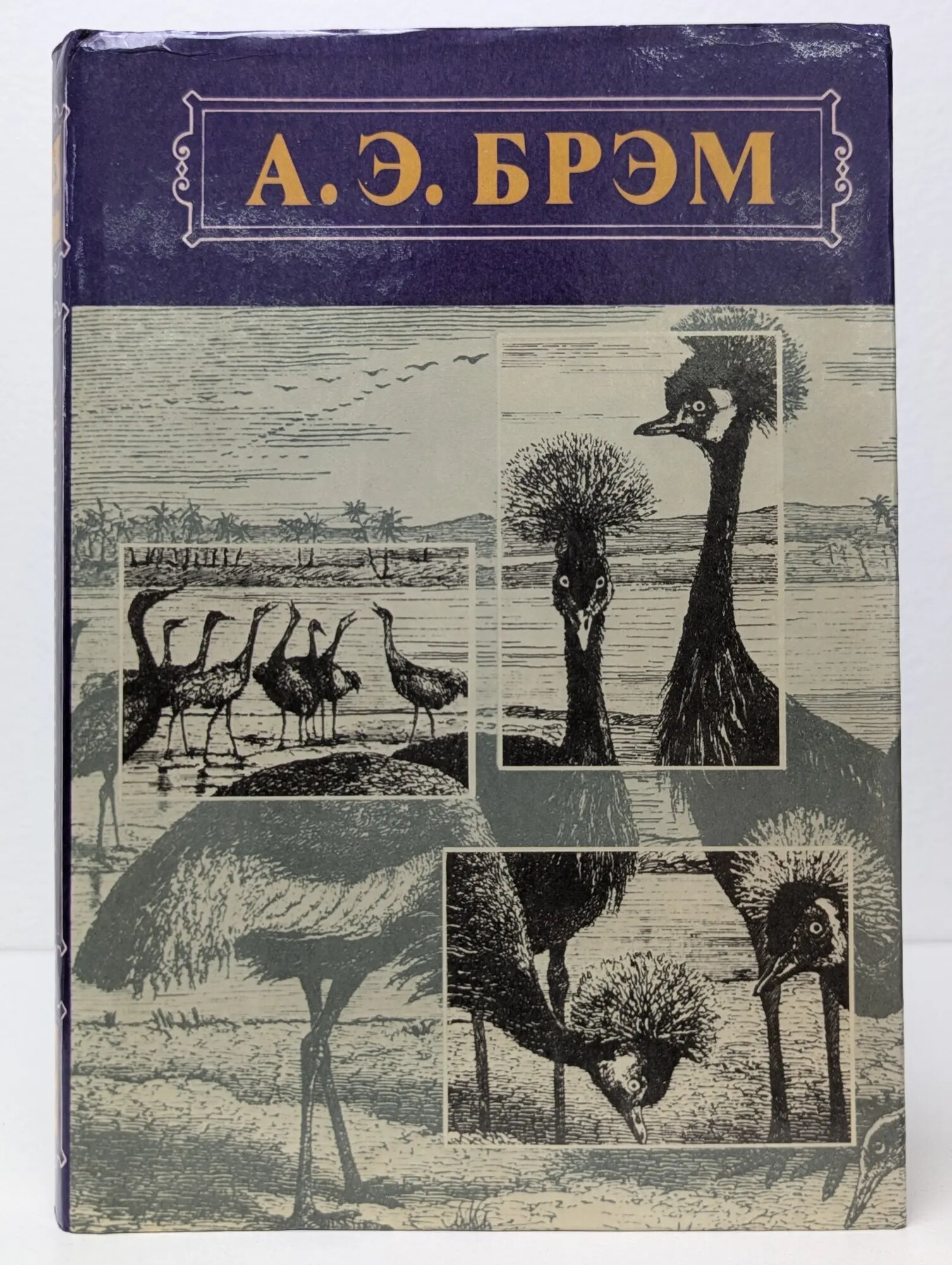 Жизнь животных. В 3 томах. Том 2 Брэм Альфреф Эдмунд 1992