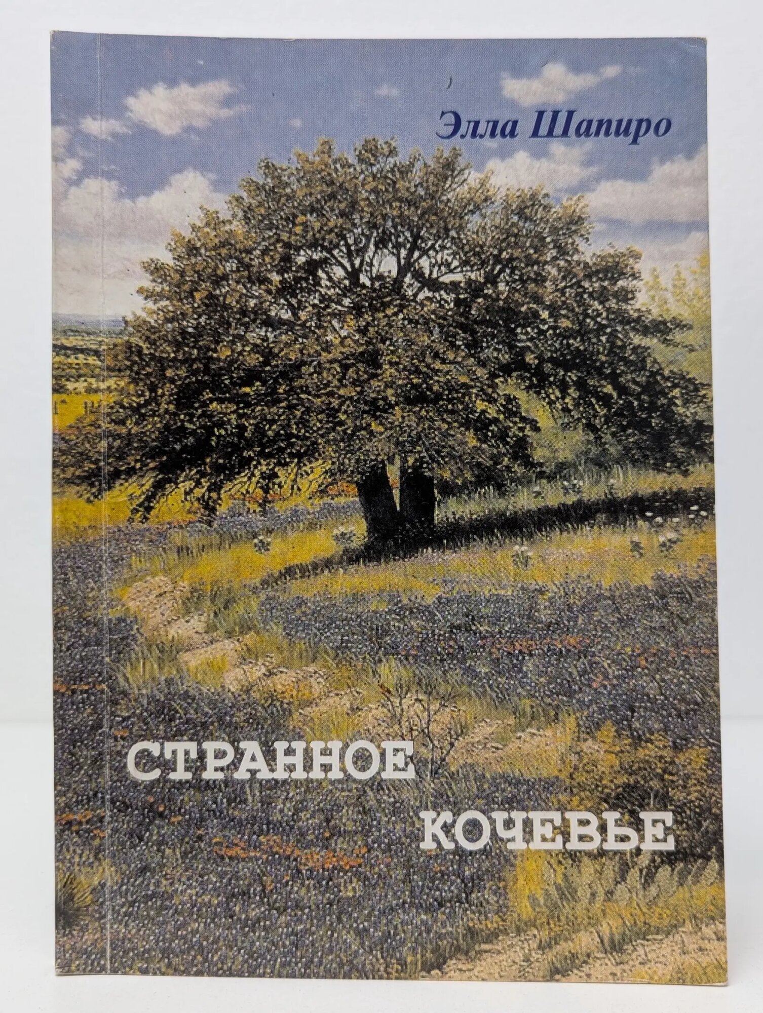 Странное кочевье Шапиро Элла 2003