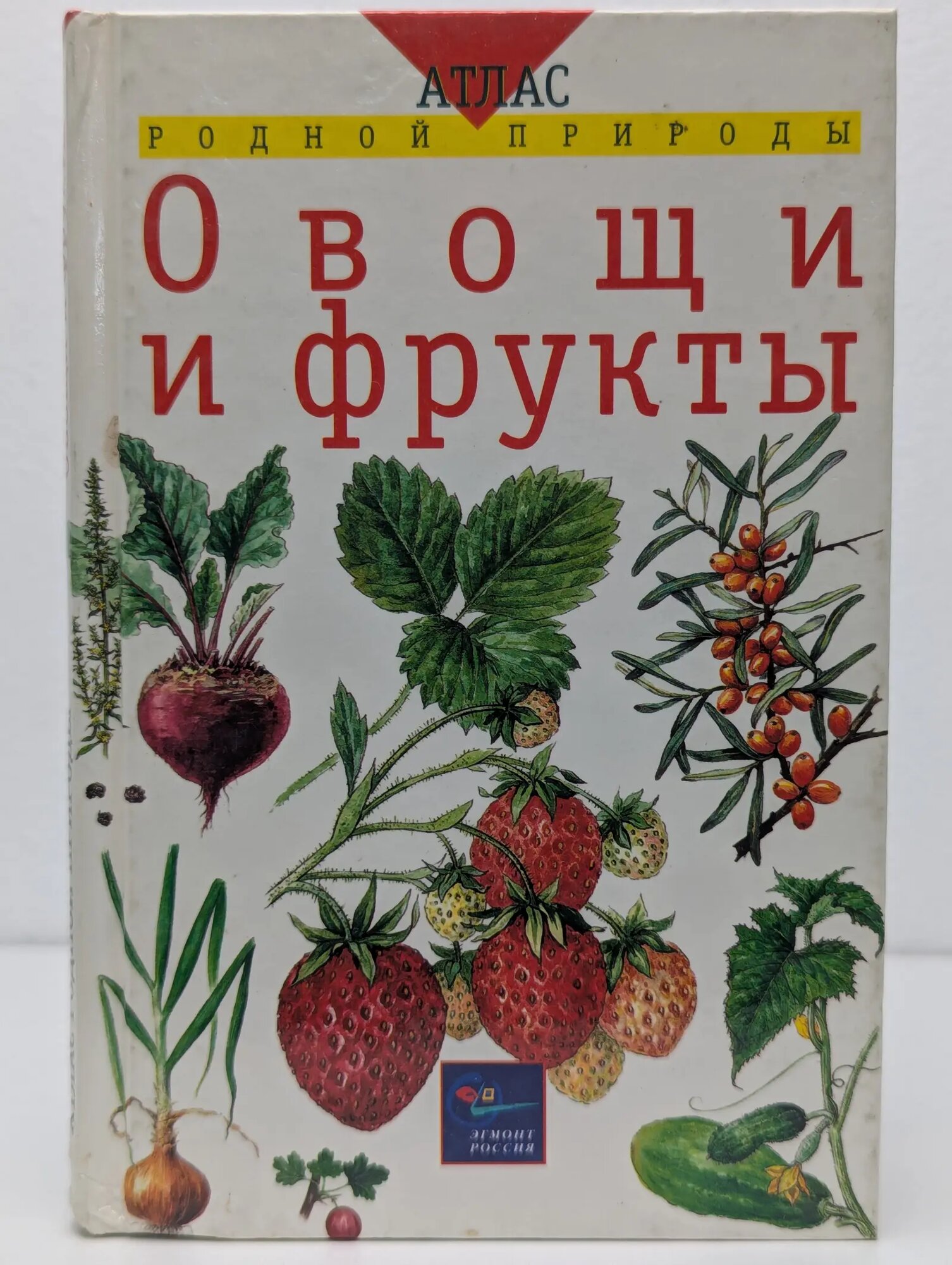 Атлас родной природы. Овощи и фрукты Сивоглазов Владислав Иванович. Козлова Татьяна Александровна 2001