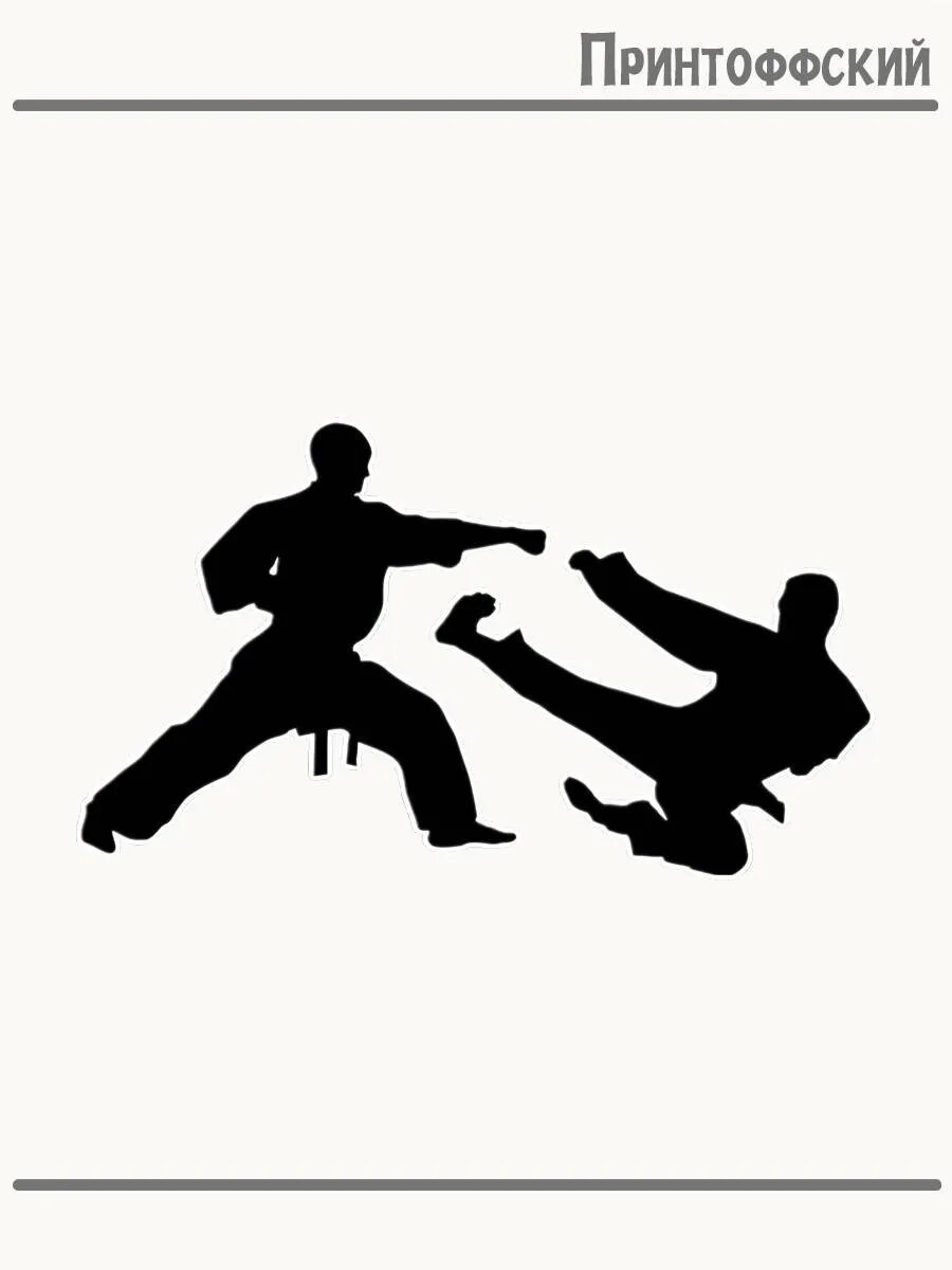 Термонаклейка для одежды и аксессуаров DTF-печать Вид а Карате Удар Сила