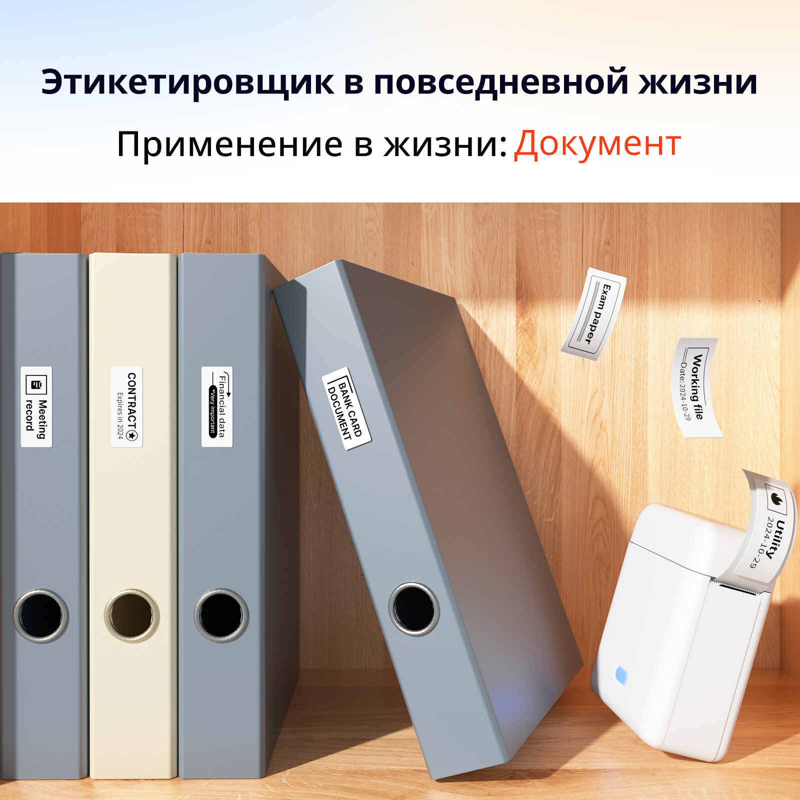 Термопринтер этикеток без чернил, классификация документов, классификация лекарств, кухонная классификация