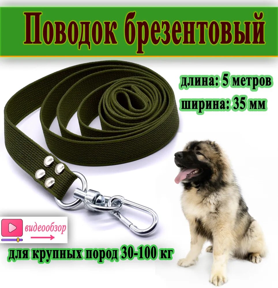 Поводок брезентовый 5 метров, для собак крупных пород, ширина 35мм