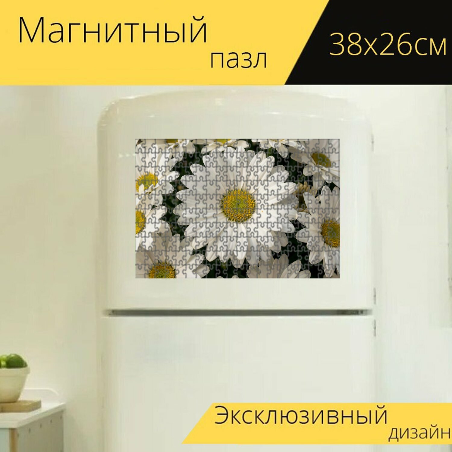 Магнитный пазл "Белые ромашки крупным планом. Нежные садовые хризантемы с желто-зелеными серединками в макросъемке. Светлая цветочная композиция в природном." для интерьера, 38х26 см.