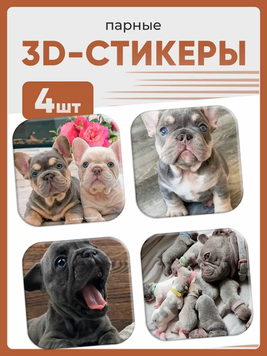 3D стикеры на телефон французский бульдог