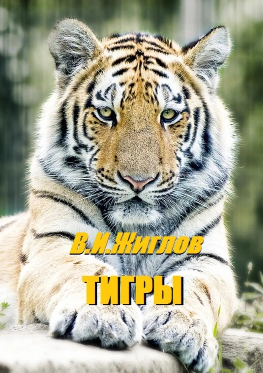 Тигры [Цифровая книга]