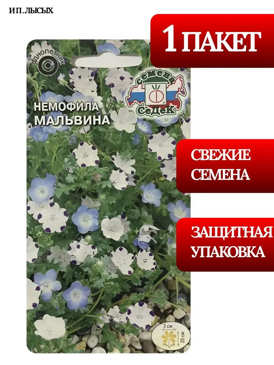 Семена Немофила "Мальвина"