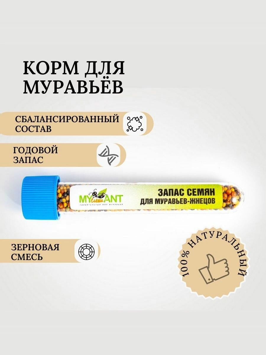 Корм для муравьев