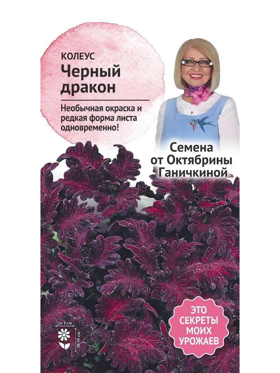 Семена колеус Черный дракон 10 шт.
