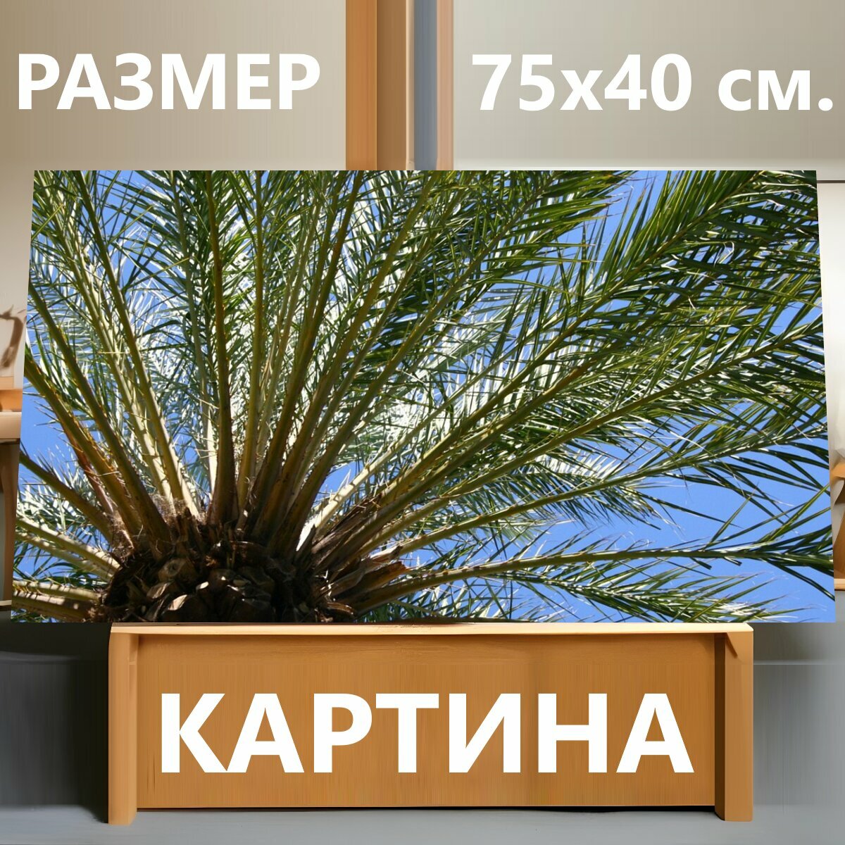 Картина на холсте "Пальмовые листья, пальма, тропический" на подрамнике 75х40 см. для интерьера