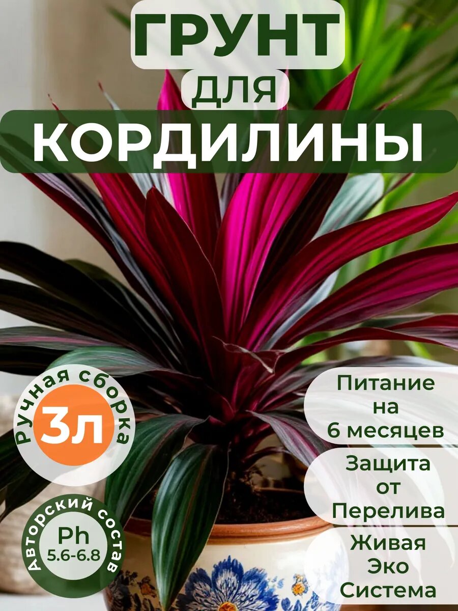 Готовый авторский грунт для Кордилины премиум 3 литра