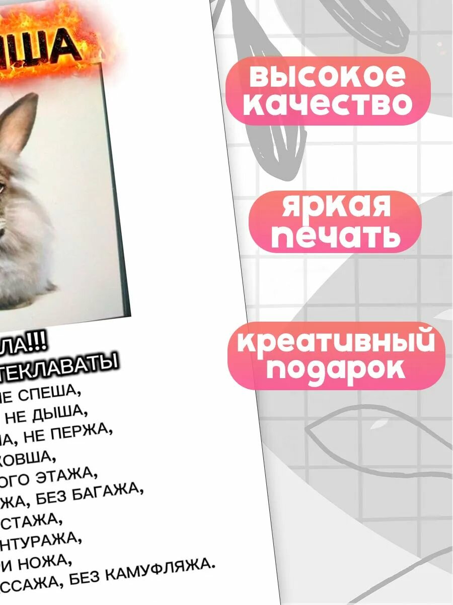Постеры на стену Черемша мем , плакат 1шт, А4 размер. — фото 1