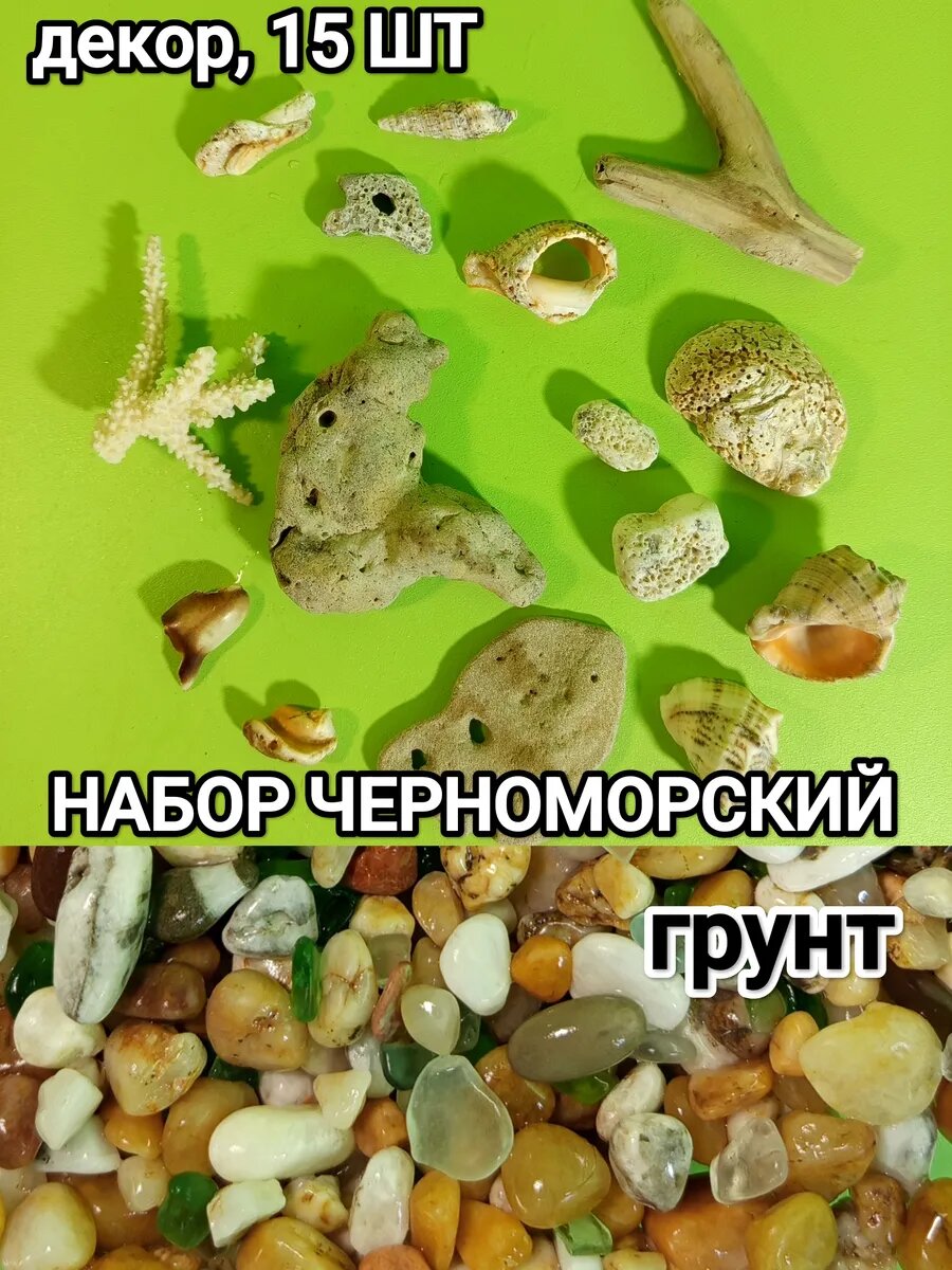 Набор черноморский для аквариума, террариума, флорариума