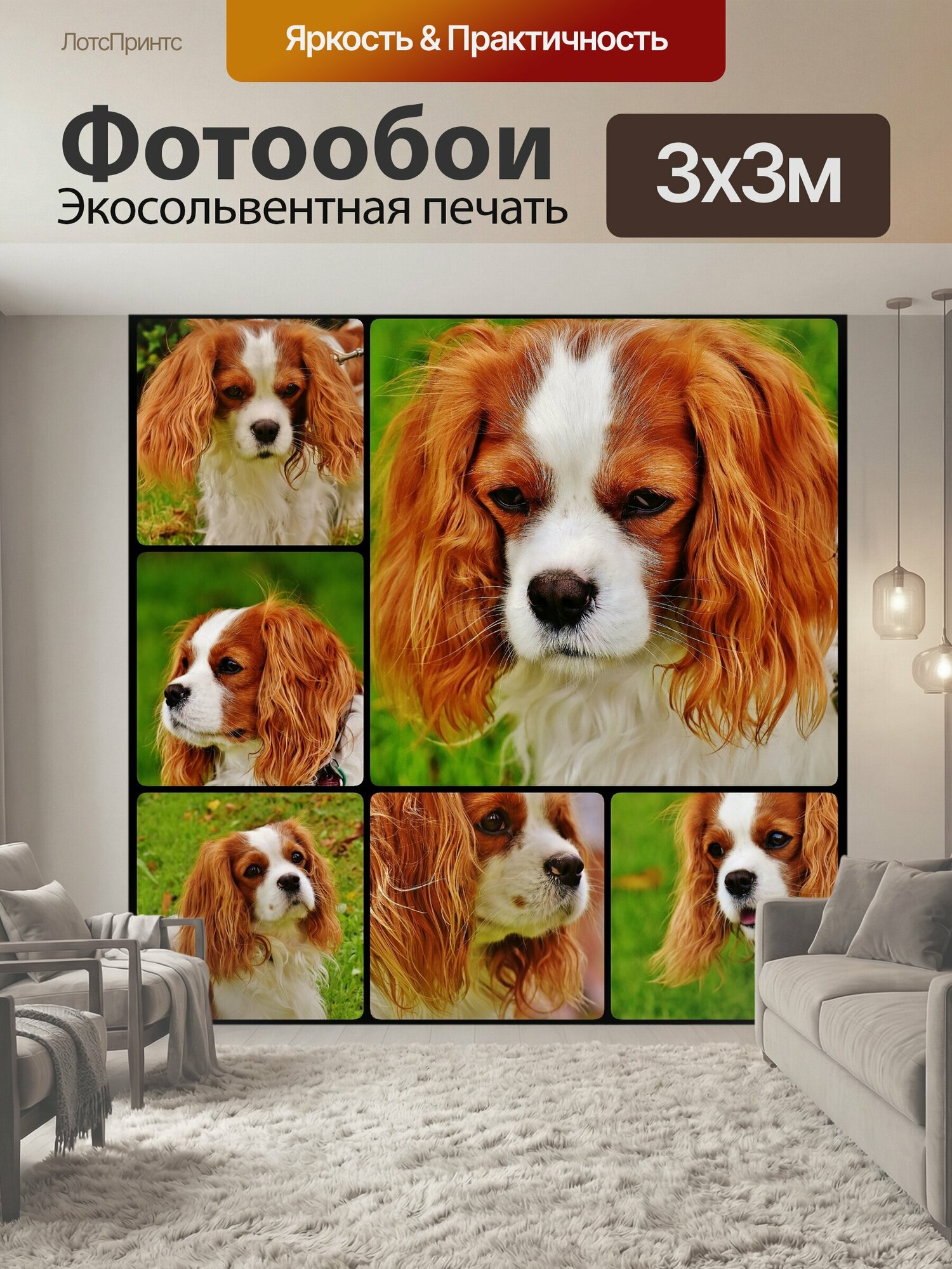 Фотообои "Собака, кавалер кинг чарльз спаниель, коллаж" 300x300 см. экосольвентная печать