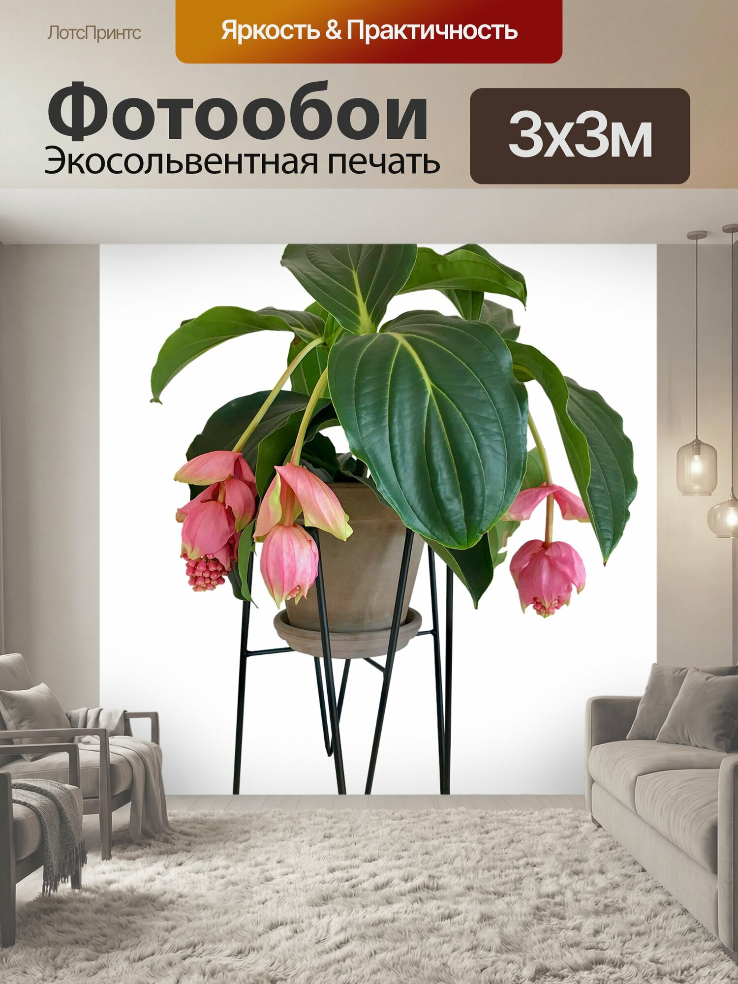 Фотообои "Мединилла, цветок, комнатные растения" 300x300 см. экосольвентная печать