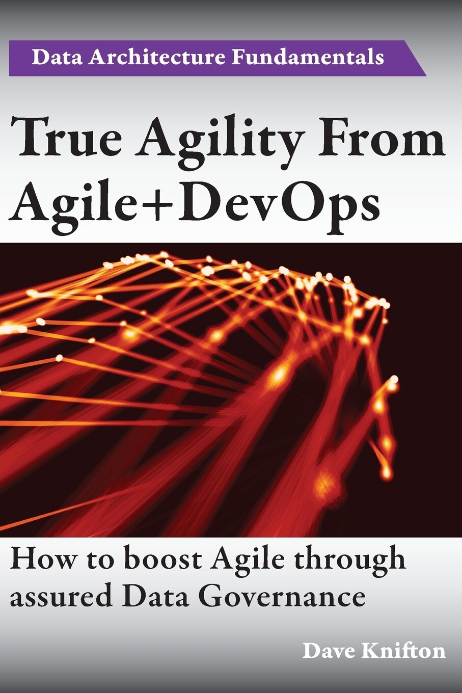 True Agility From Agile+DevOps. Assuring Data Governance And Boosting Agility — фото 1