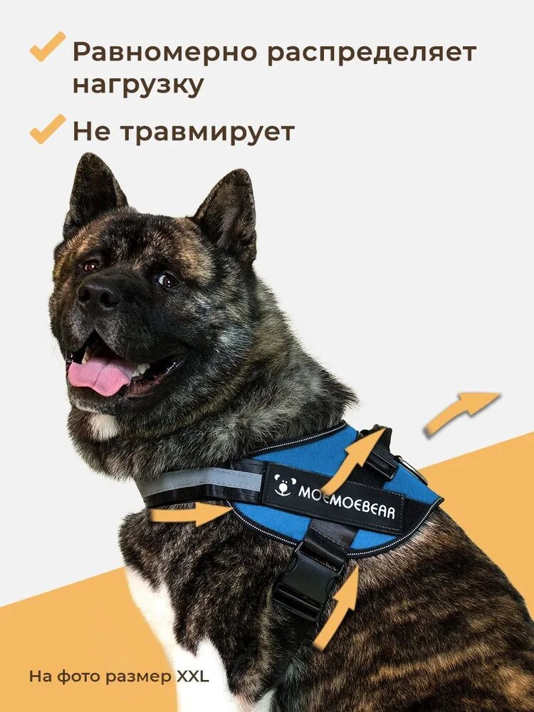 Шлейка — фото 1