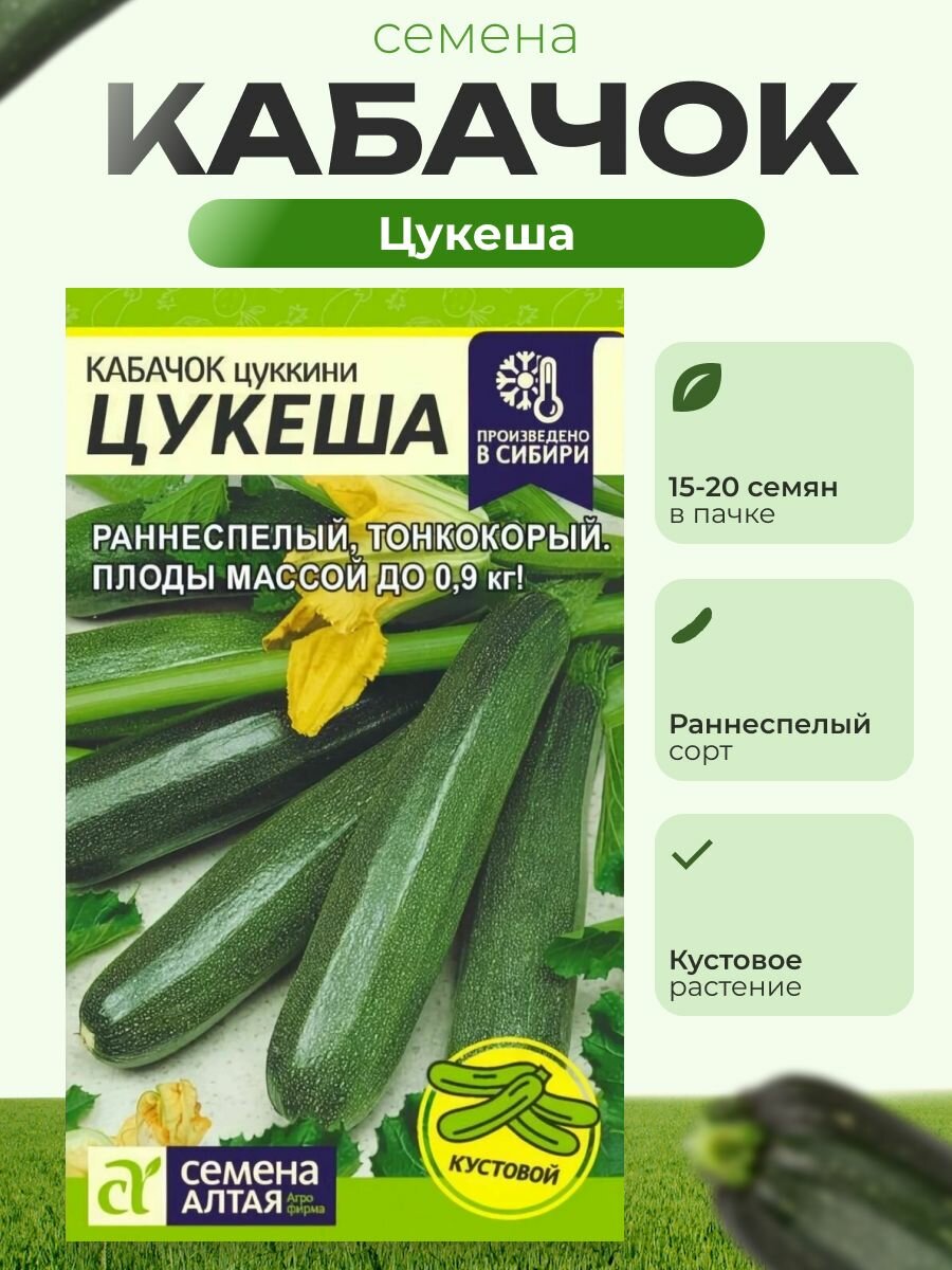 Семена кабачок цукини до 1 кг, семена цуккини