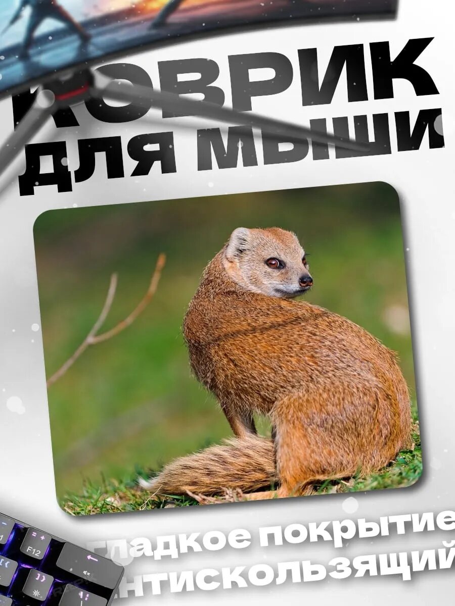 Коврик для мыши Рыжий мангуст сидит