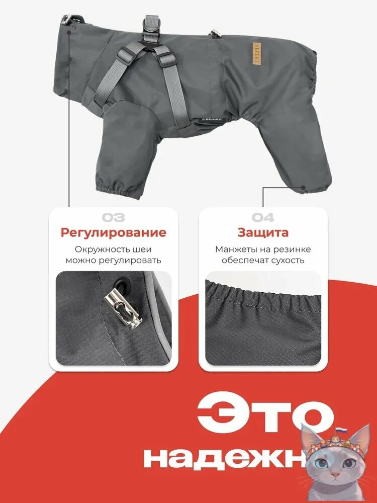 Одежда для животных — фото 1