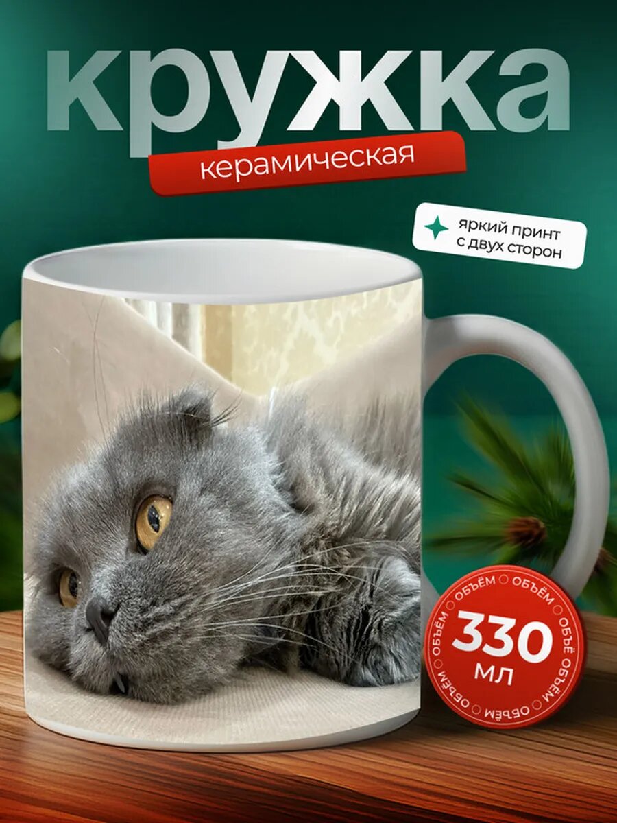Кружка Хайленд фолд кот 12,