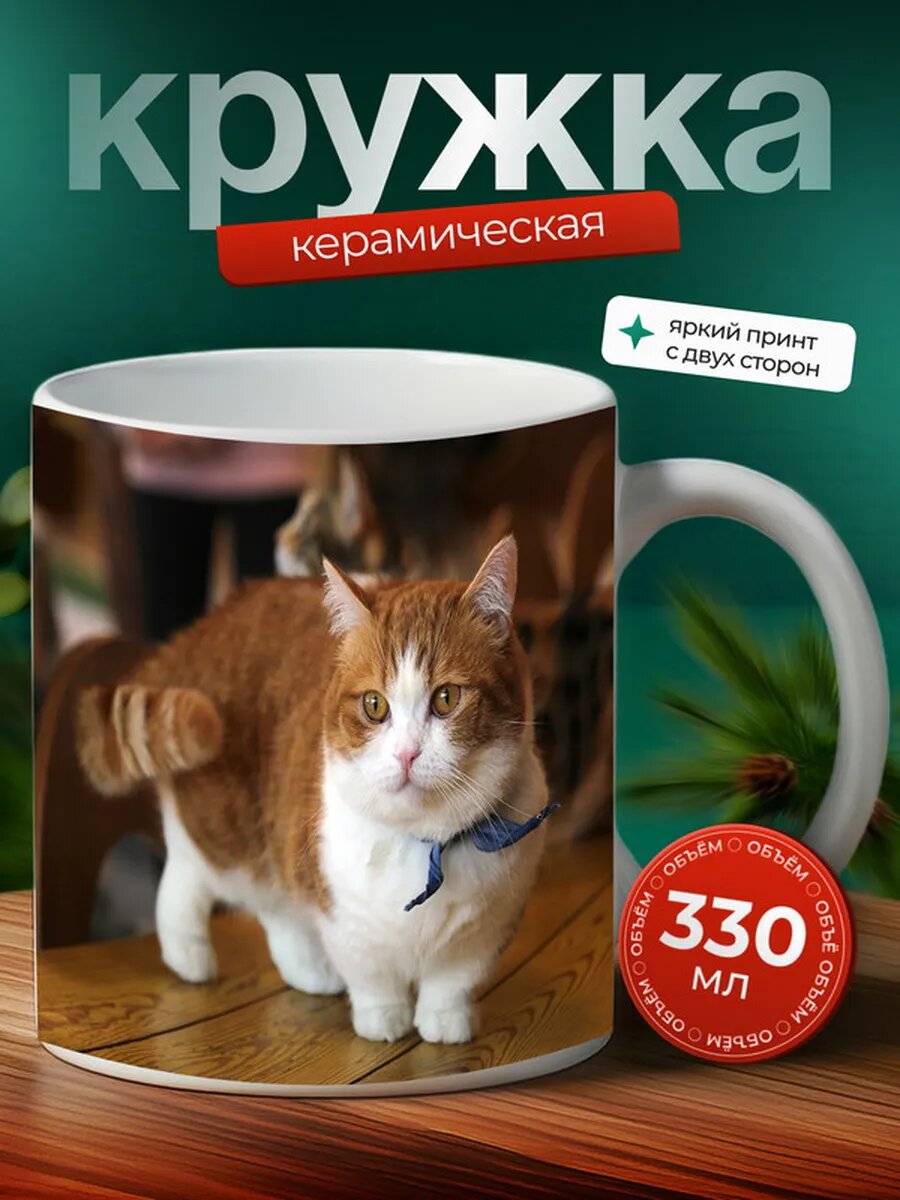 Кружка Триколорная манчкин кошка 7,