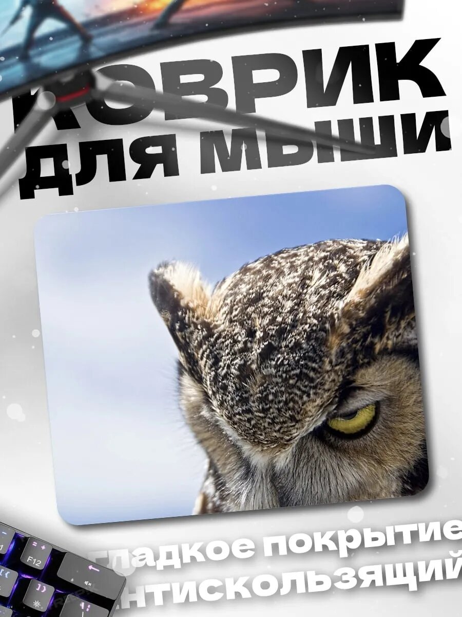 Коврик для мыши сова на фоне неба