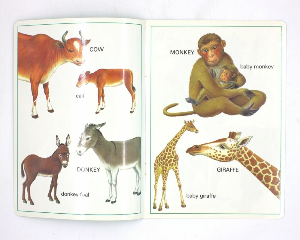 Know Your Baby Animals — фото 1