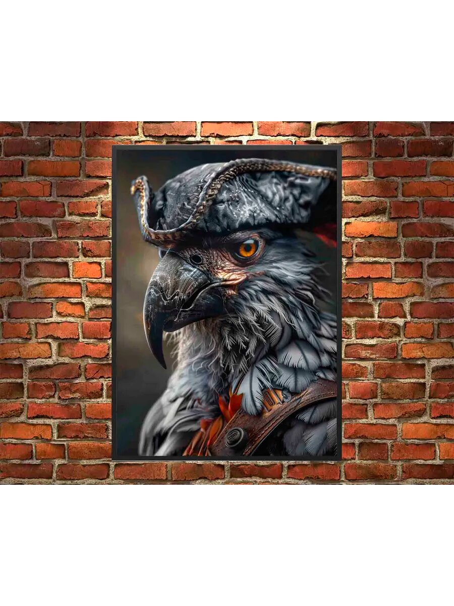 Птица-пират Кондор 3, Плакат 30x42см