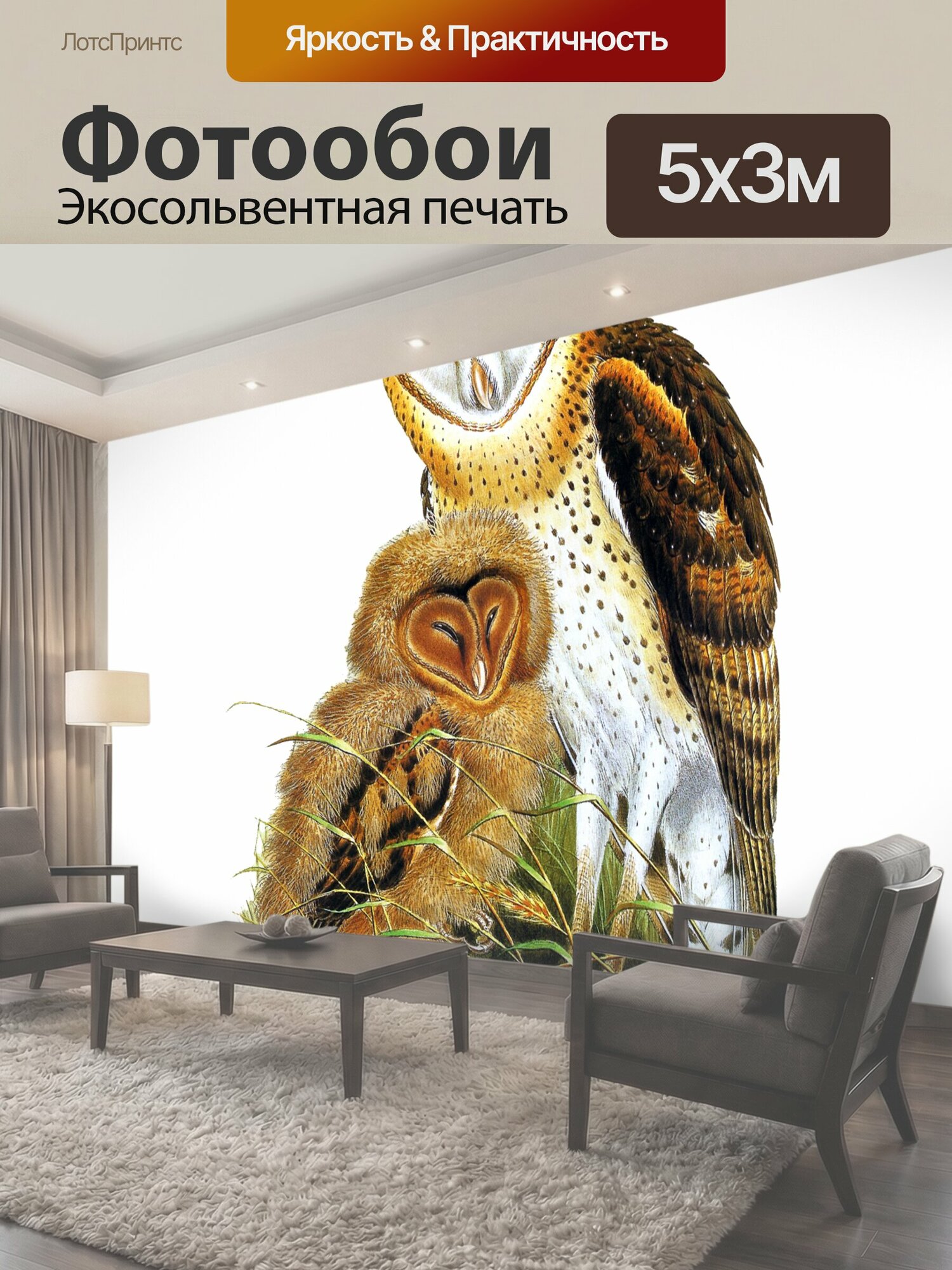 Фотообои "Сова с Сове Винтаж Восточная травяная сова с детенышем совенка клипарт, старинное искусство на прозрачном фоне png, также называемое." 500x300 см. экосольвентная печать
