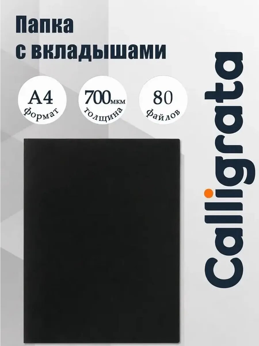 Стильная деловая папка с 80 вкладышами