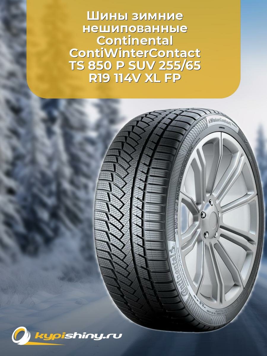 Зимние шины Continental ContiWinterContact TS 850 P SUV 255/65 R19 114V XL нешип
