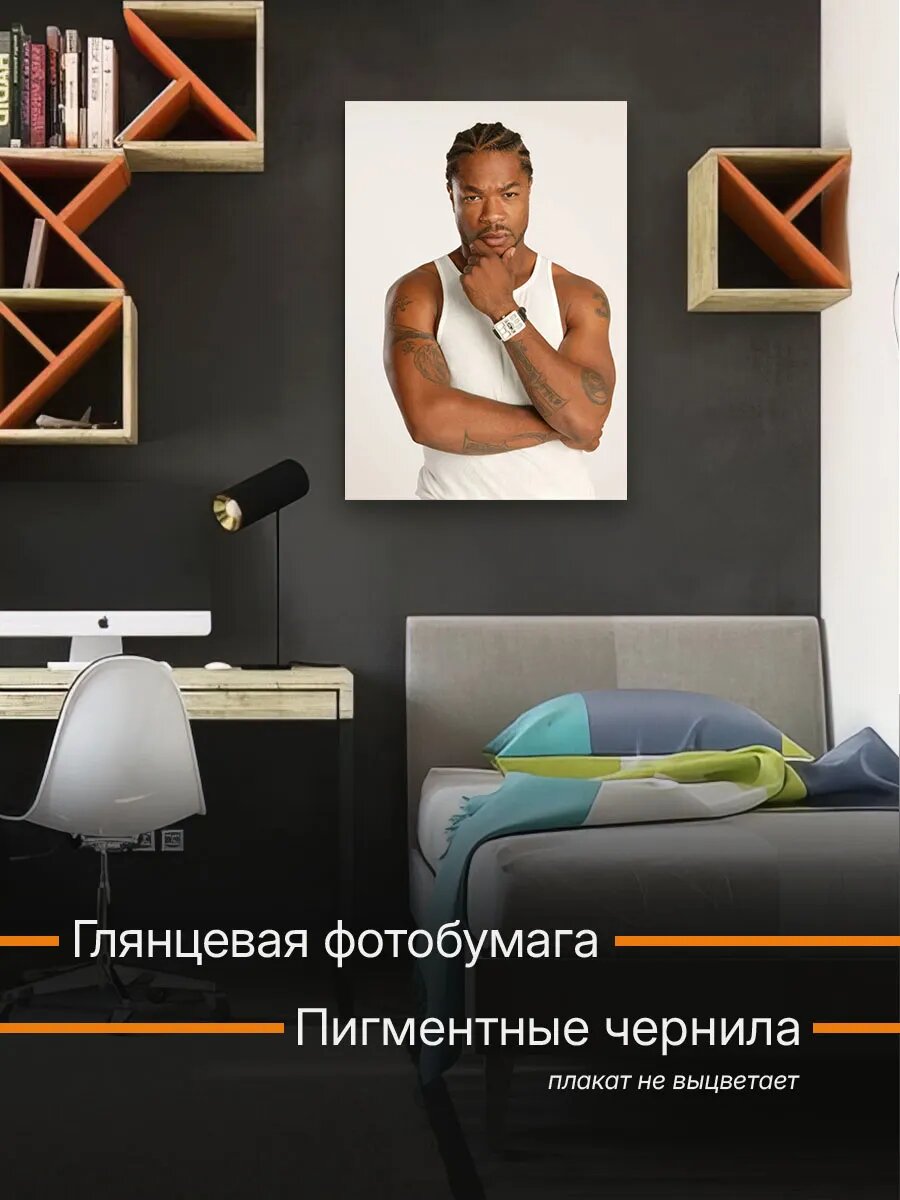 Интерьерный постер А2, Xzibit — фото 1