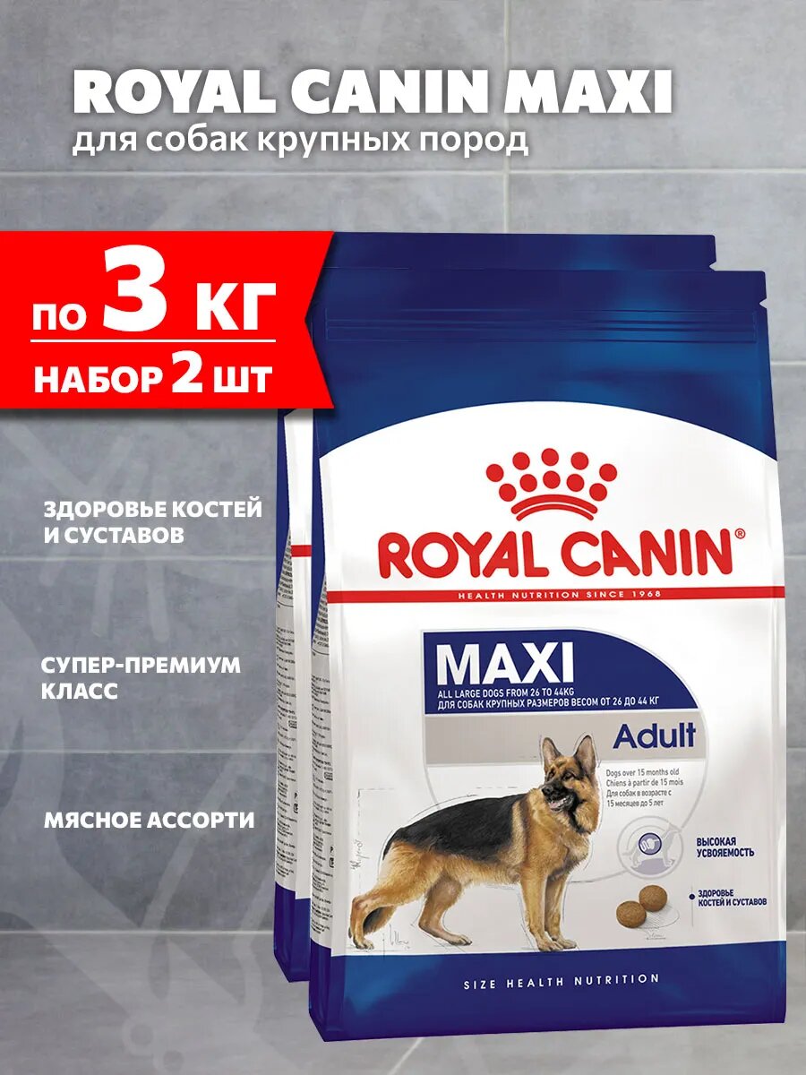 Корм сухой Royal Canin Maxi Adult для взрослых собак крупных пород, 3 кг х 2 шт