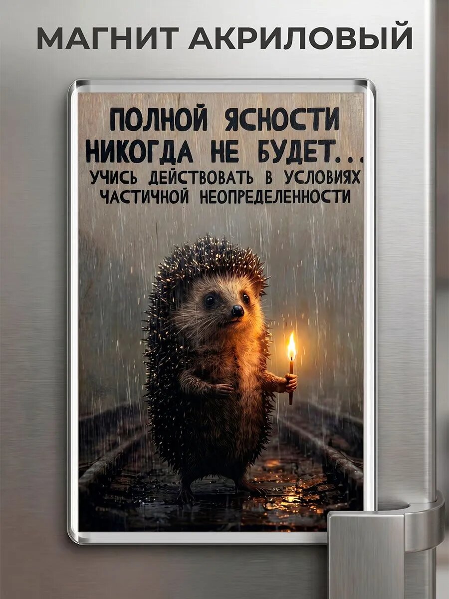 Магнит на холодильник "Полной ясности никогда не будет."
