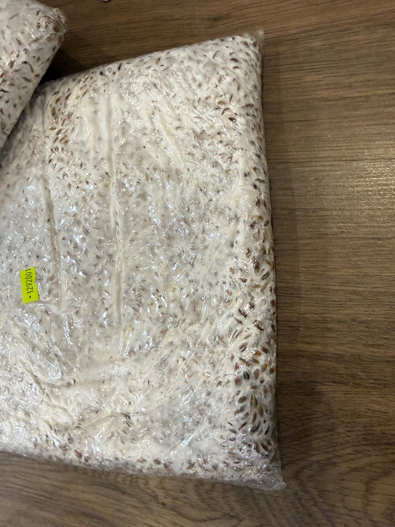 Мицелий грибов шампиньонов белых зерновой (штамм А15) - 1 кг.