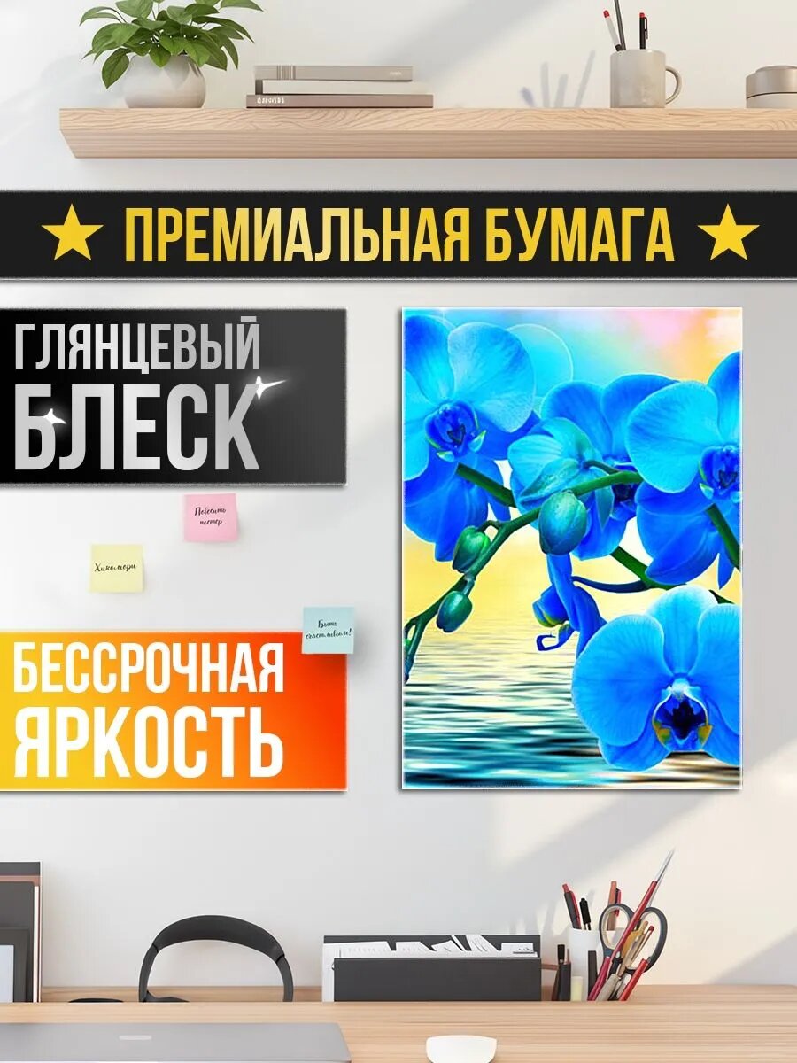 Постер на стену Орхидеи — фото 1