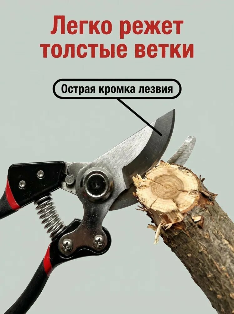 Сучкорез — фото 1