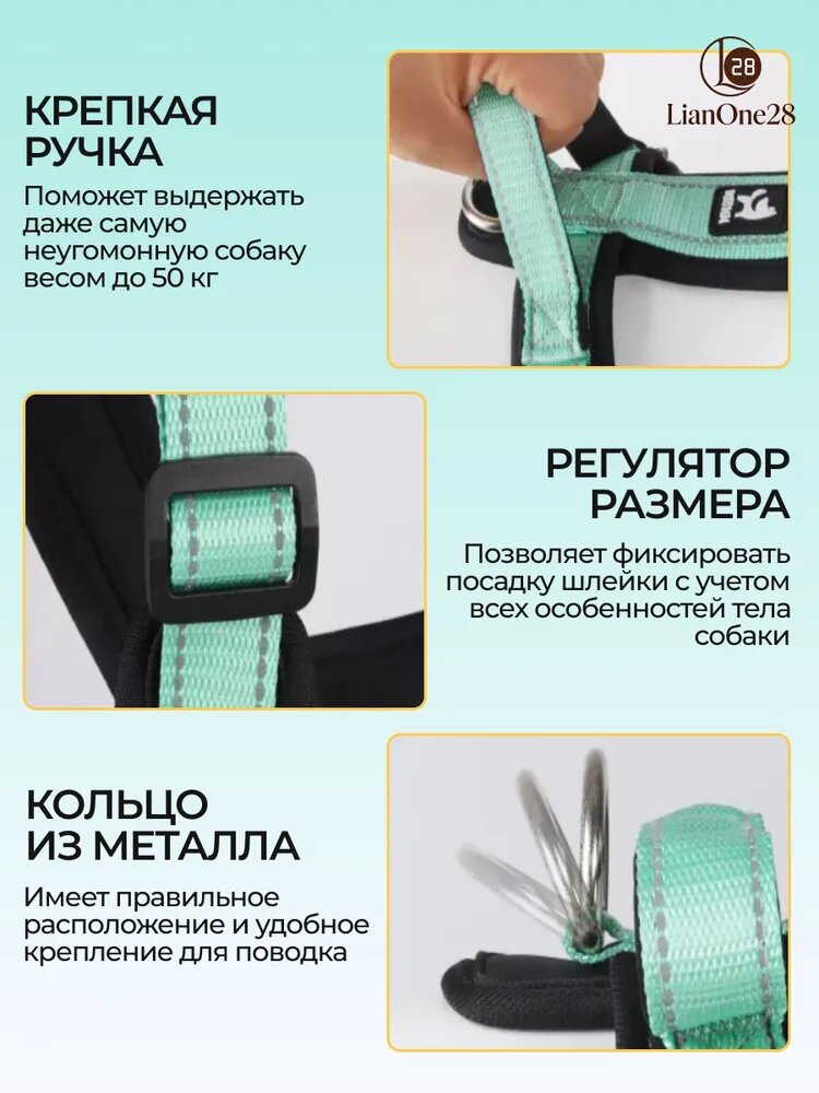 Шлейка — фото 1
