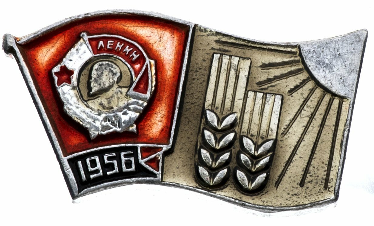 Значок Награды Комсомола Орден Ленина 1956 Освоение целины влксм Разновидность случайная