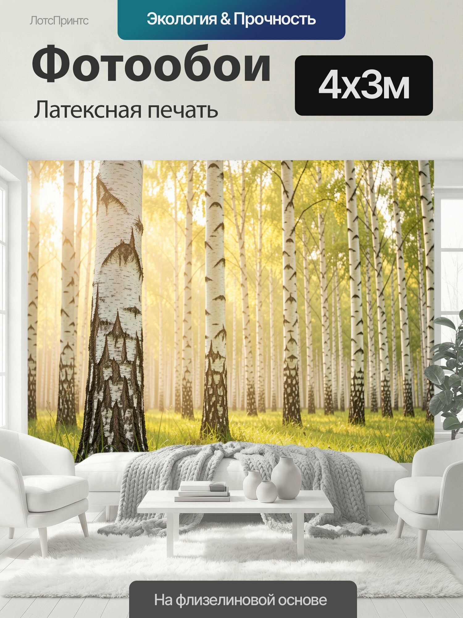 Фотообои моющиеся ударопрочные "Берёзовая роща в солнечном тумане. Светлый лесной пейзаж с тонкими белоствольными деревьями, зелёной травой и." 400x300 см. латексная печать