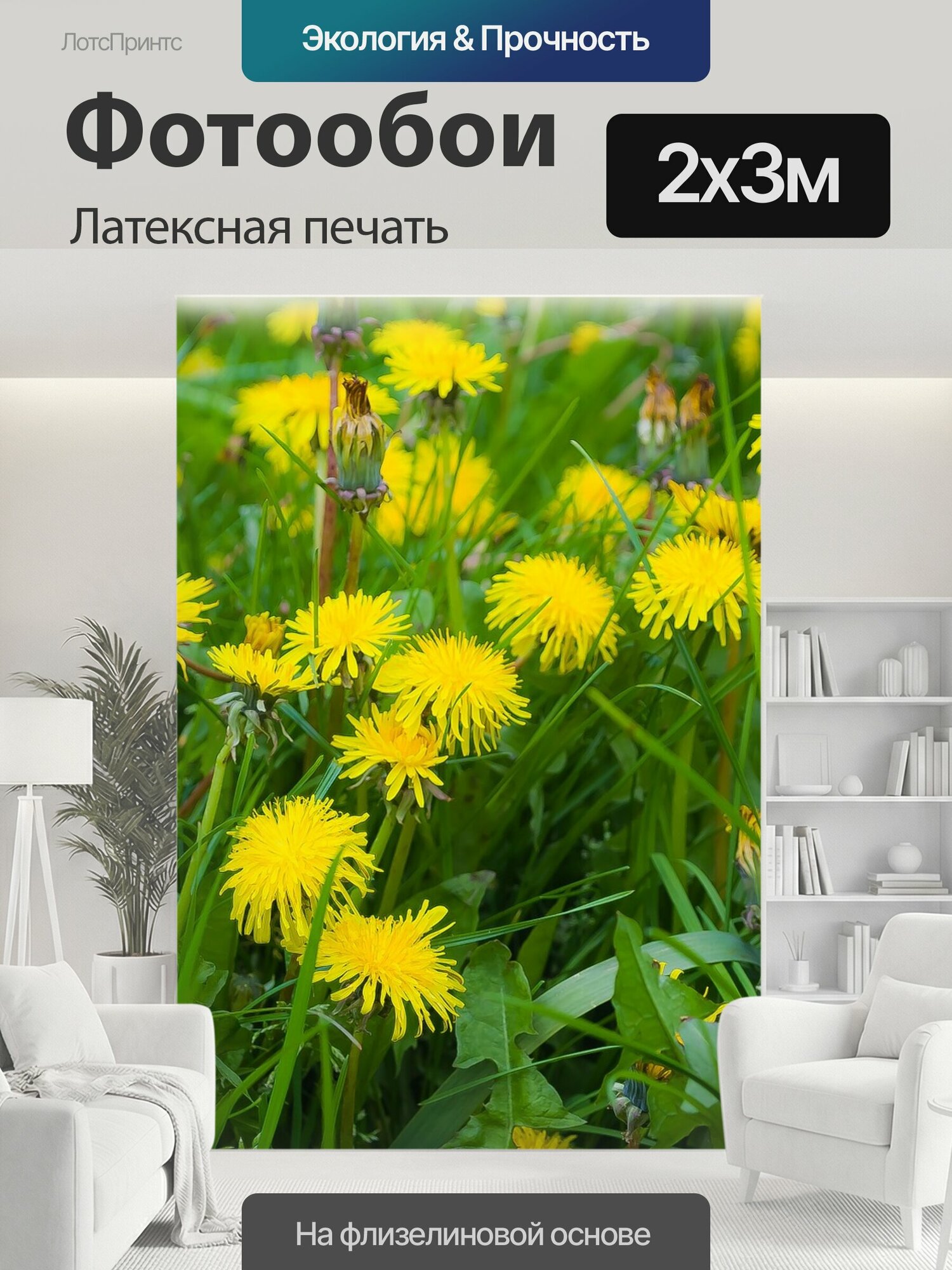 Фотообои моющиеся ударопрочные "Одуванчик, одуванчики, пух" 200x300 см. латексная печать