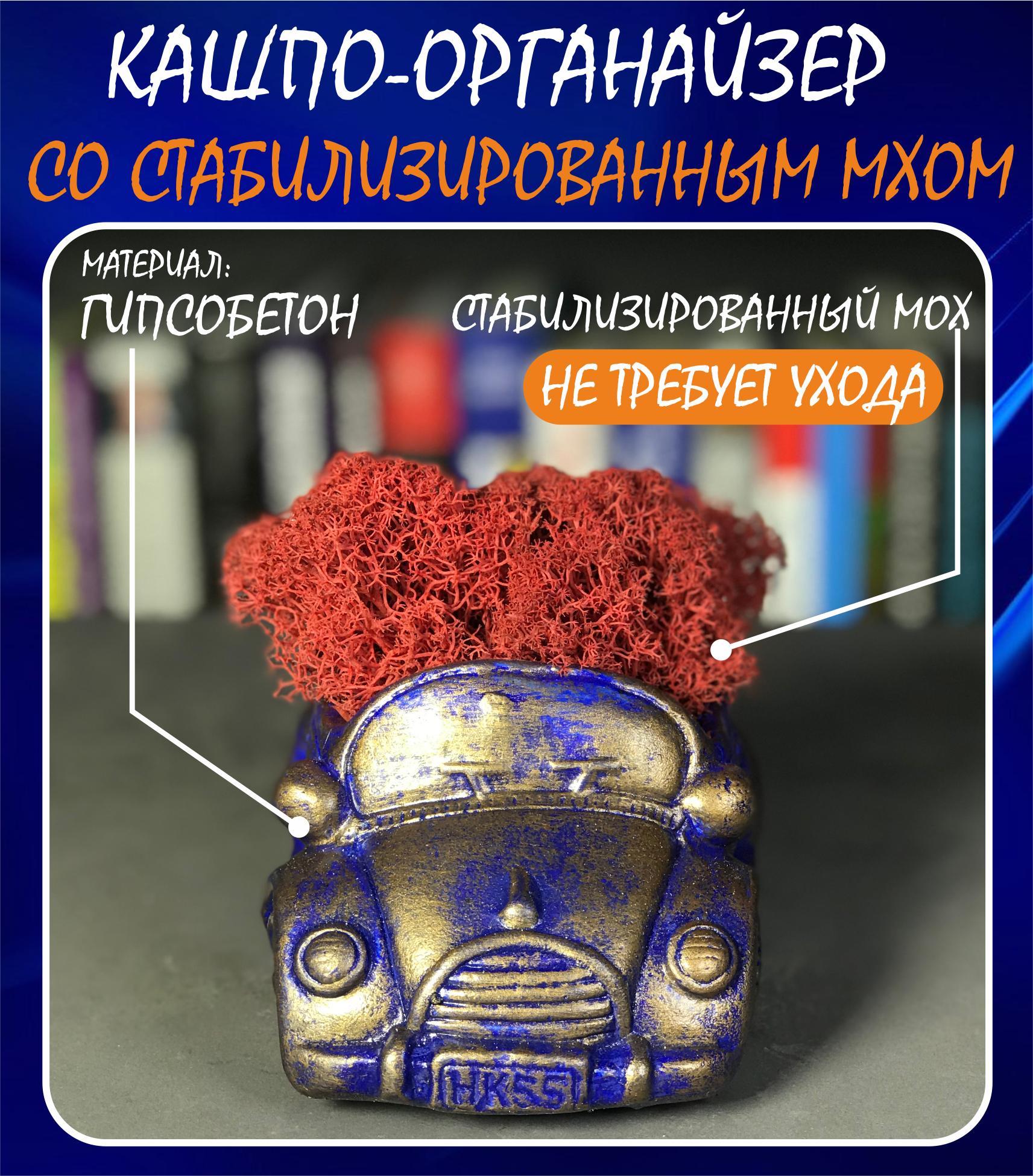 Кашпо органайзер с мхом для цветов, суккулентов, кактуса Машинка Морская волка