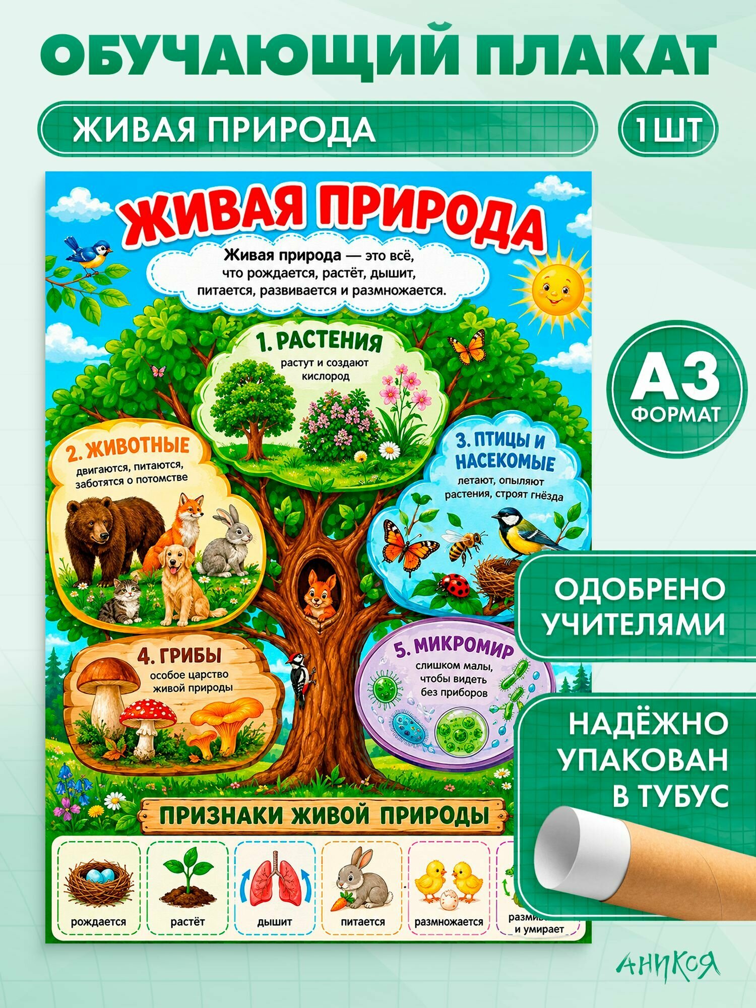Плакат на стену Живая природа